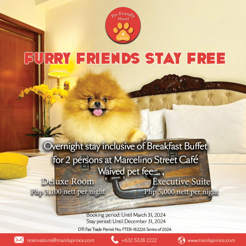 LOOK: Manila Prince Hotel welcomes furry friends for free - Garage