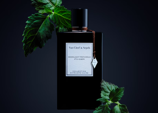 Moonlight Patchouli keeps it sensual and mysterious - Garage